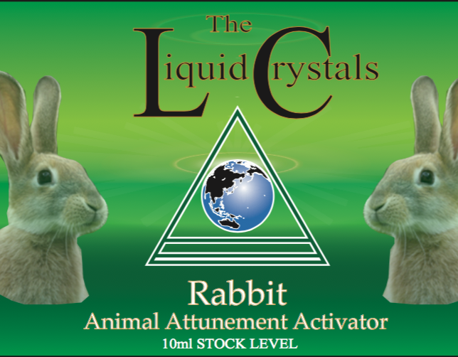 Rabbit Advanced STOCK – The Liquid Crystals